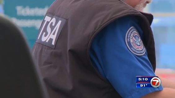 A former TSA agent is accused of forcing a woman to expose her breasts ...