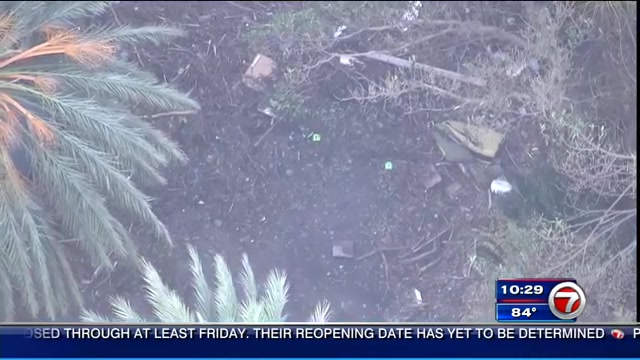 Decomposed body found under pile of seaweed in Coconut Grove - WSVN ...