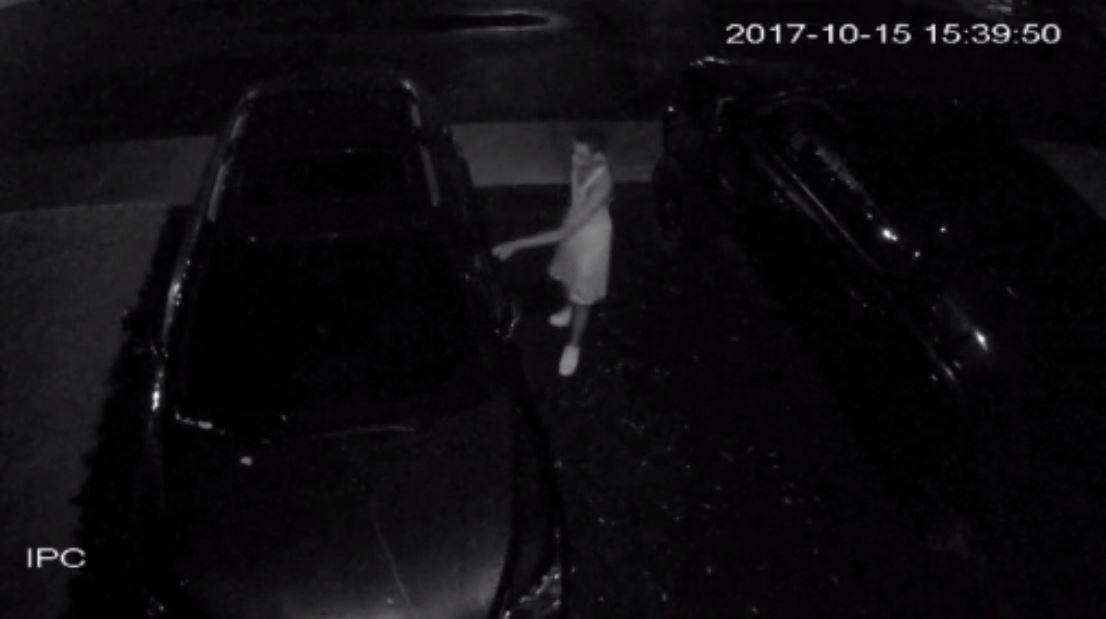 Group Caught On Camera In Sunrise Car Break Ins Wsvn 7news Miami