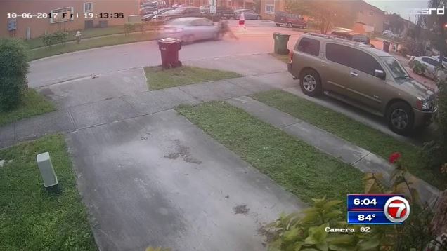 Cellphone robbers attempting to run over victim arrested – WSVN 7News ...