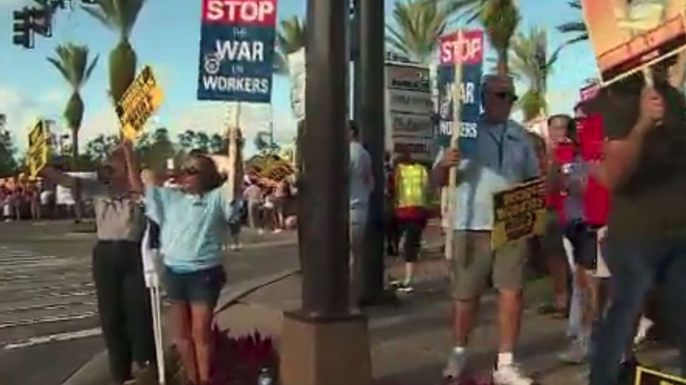 Disney World employees rally for pay increase - WSVN 7News | Miami News ...