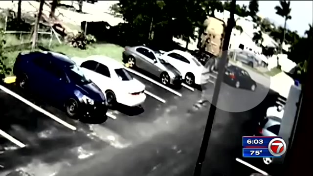 Carjacking victim clings to hood as thieves steal car - WSVN 7News ...