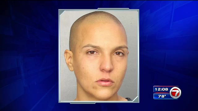 Woman accused of causing crash that killed Fort Lauderdale officer ...
