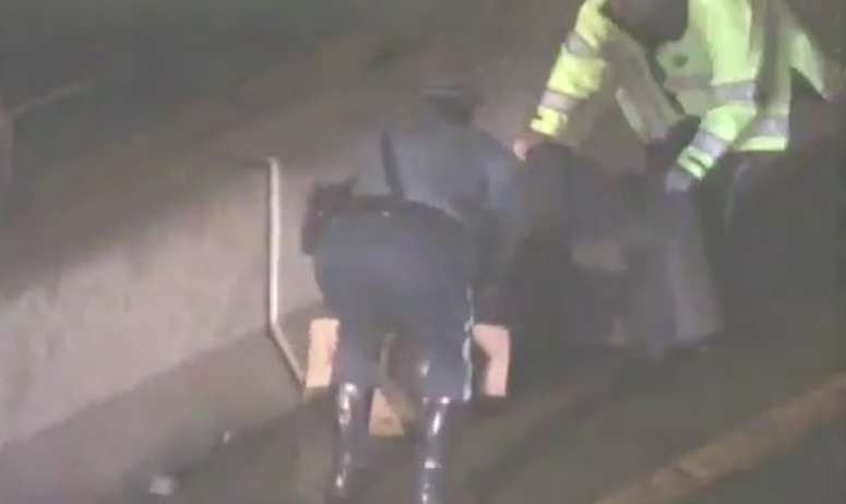 State troopers wrangle rabbit stuck on Massachusetts bridge - WSVN ...