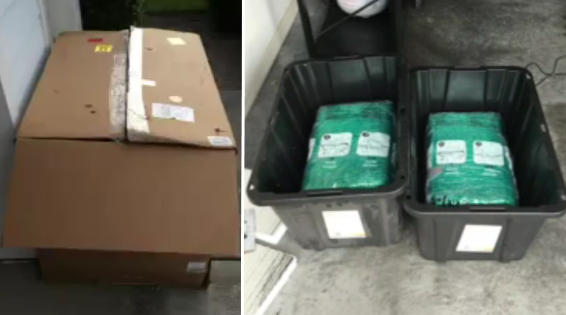 65 pounds of weed included in Orlando couple’s Amazon order - WSVN ...