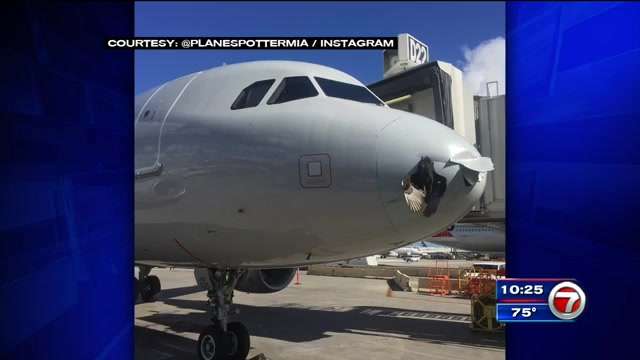 Plane damaged after being hit by bird while landing at MIA - WSVN 7News ...
