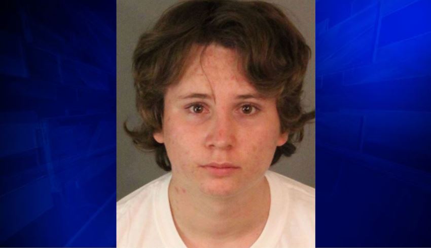 Police: Teen admits to molesting 50 children in California - WSVN 7News ...