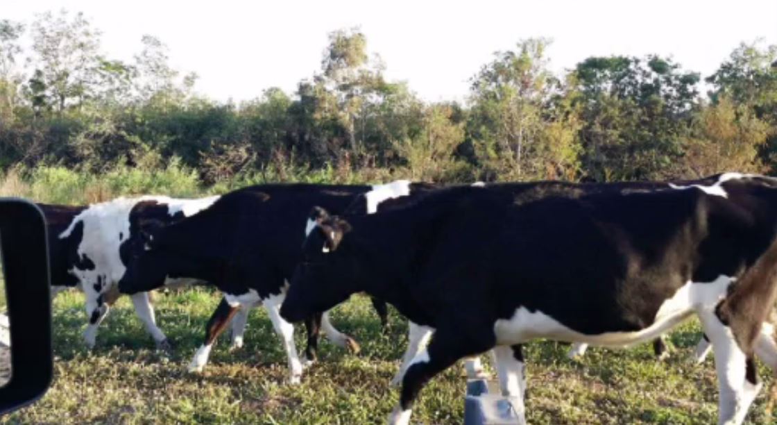 Miami-Dade – Page 2025 – WSVN 7News | Miami News, Weather, Sports ...