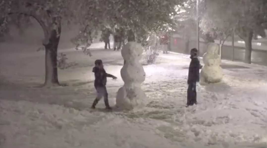 South Texas gets rare snowfall - WSVN 7News | Miami News, Weather ...