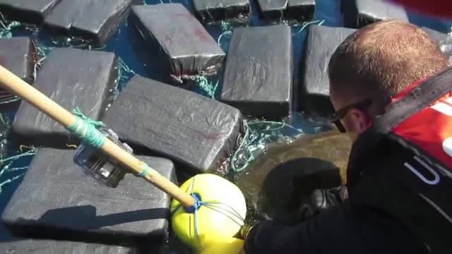 U.S. Coast Guard helps free sea turtle entangled in cocaine bundles ...