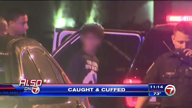 Juvenile arrested after Miami Beach hit-and-run injures infant, woman ...