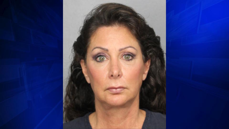 Hallandale Beach mayor released on bond, faces 3 felony charges – WSVN ...