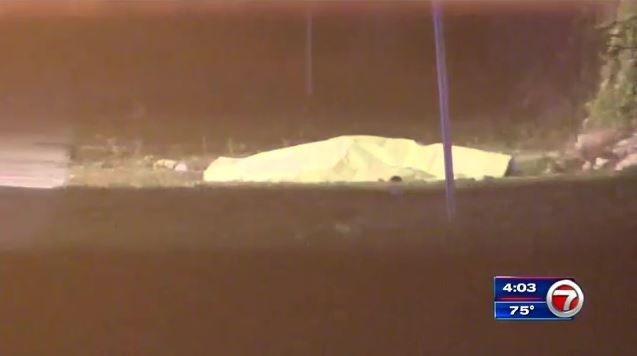 Charred human remains found on side of the road in NW Miami-Dade – WSVN ...