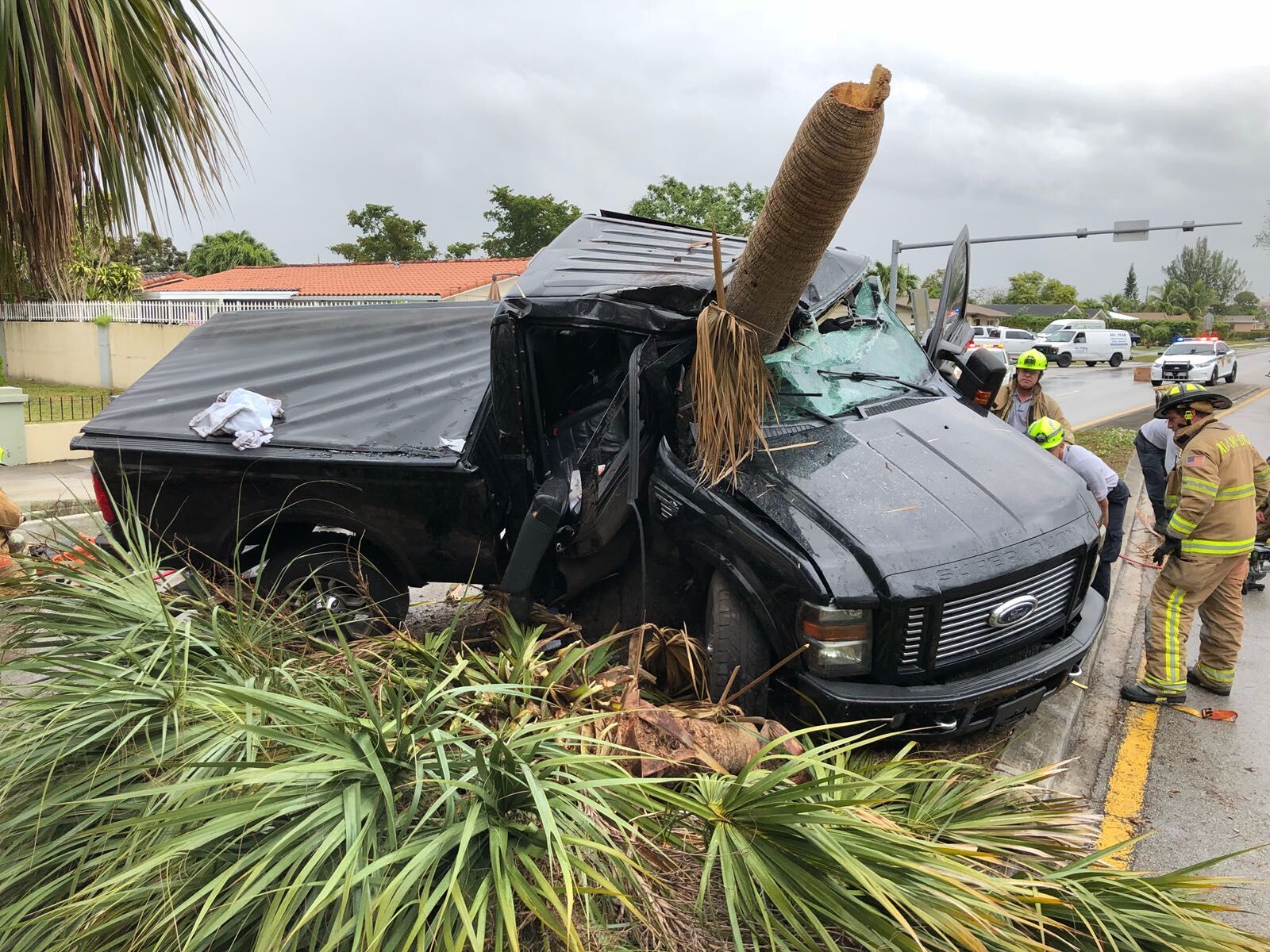 2 hospitalized after truck crashes into palm tree in SW Miami-Dade ...