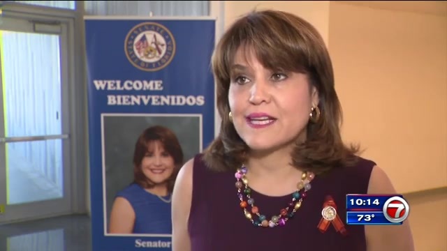 Taddeo enters Florida’s Democratic primary for governor - WSVN 7News ...