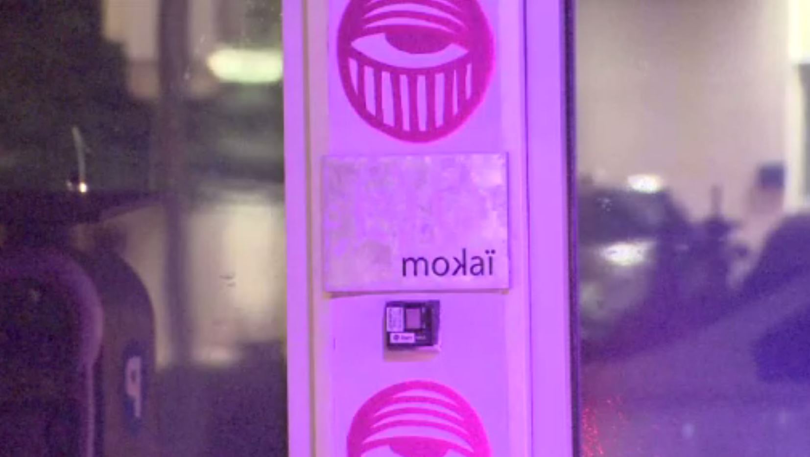 Mokai Lounge officially reopens after incident with horse on dance ...