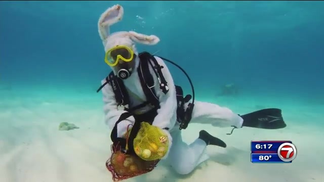 Dozens dive for Easter eggs off Key Largo - WSVN 7News | Miami News ...