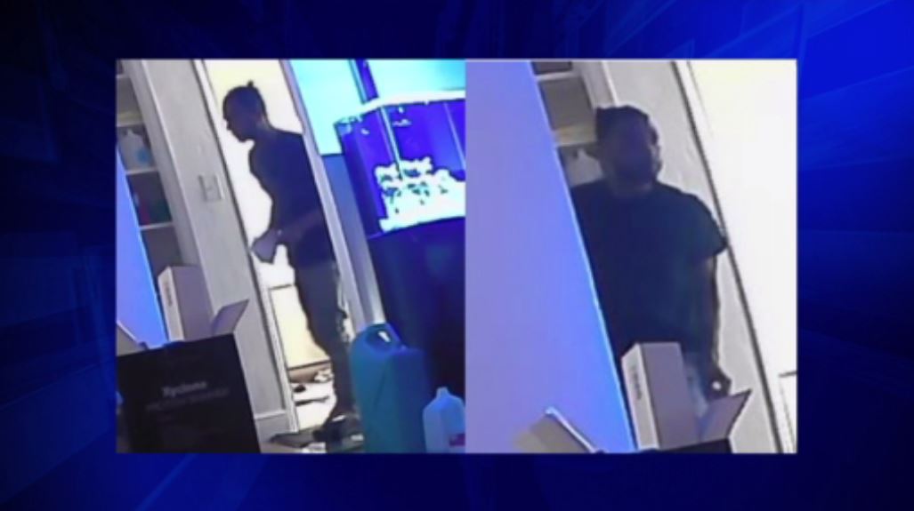 Police Search For Miami Shores Home Burglar Wsvn 7news Miami News