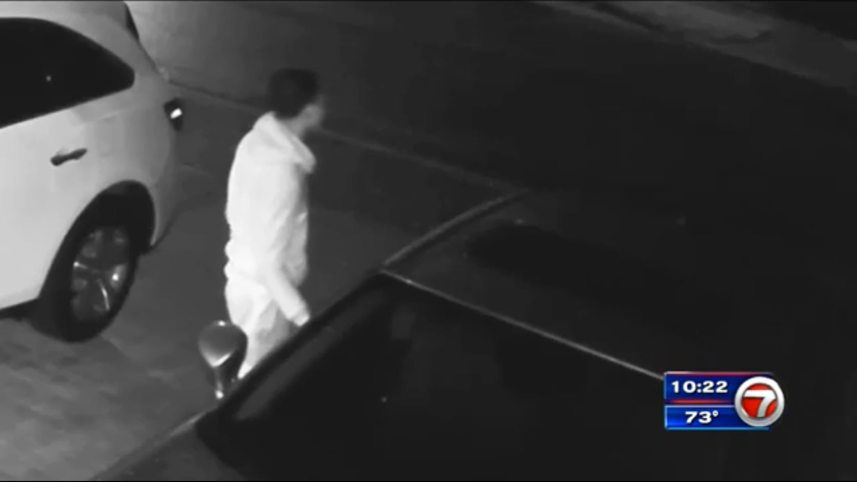 Police search for car crooks seen rummaging through vehicles in ...