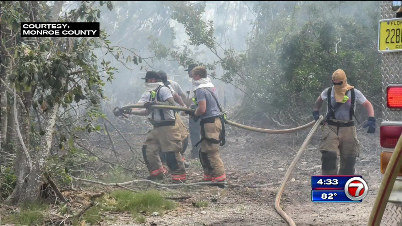 Crews extinguish brush fire in Big Pine Key - WSVN 7News | Miami News ...