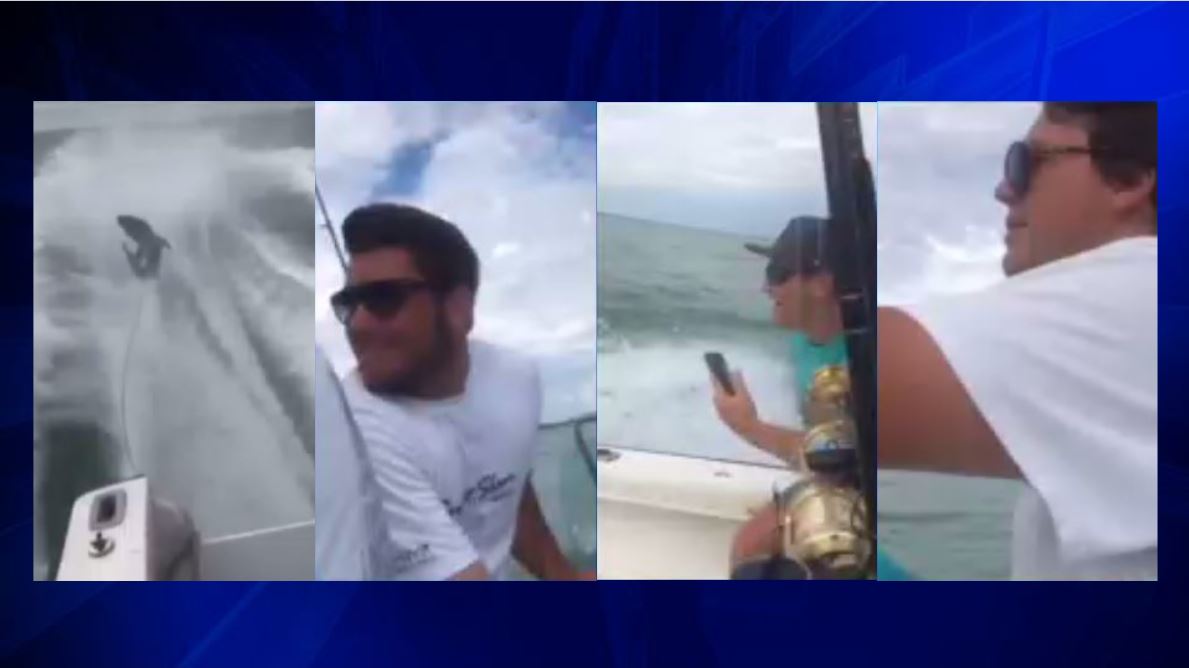 Charges dropped for 1 of 3 men connected to shark video - WSVN 7News ...