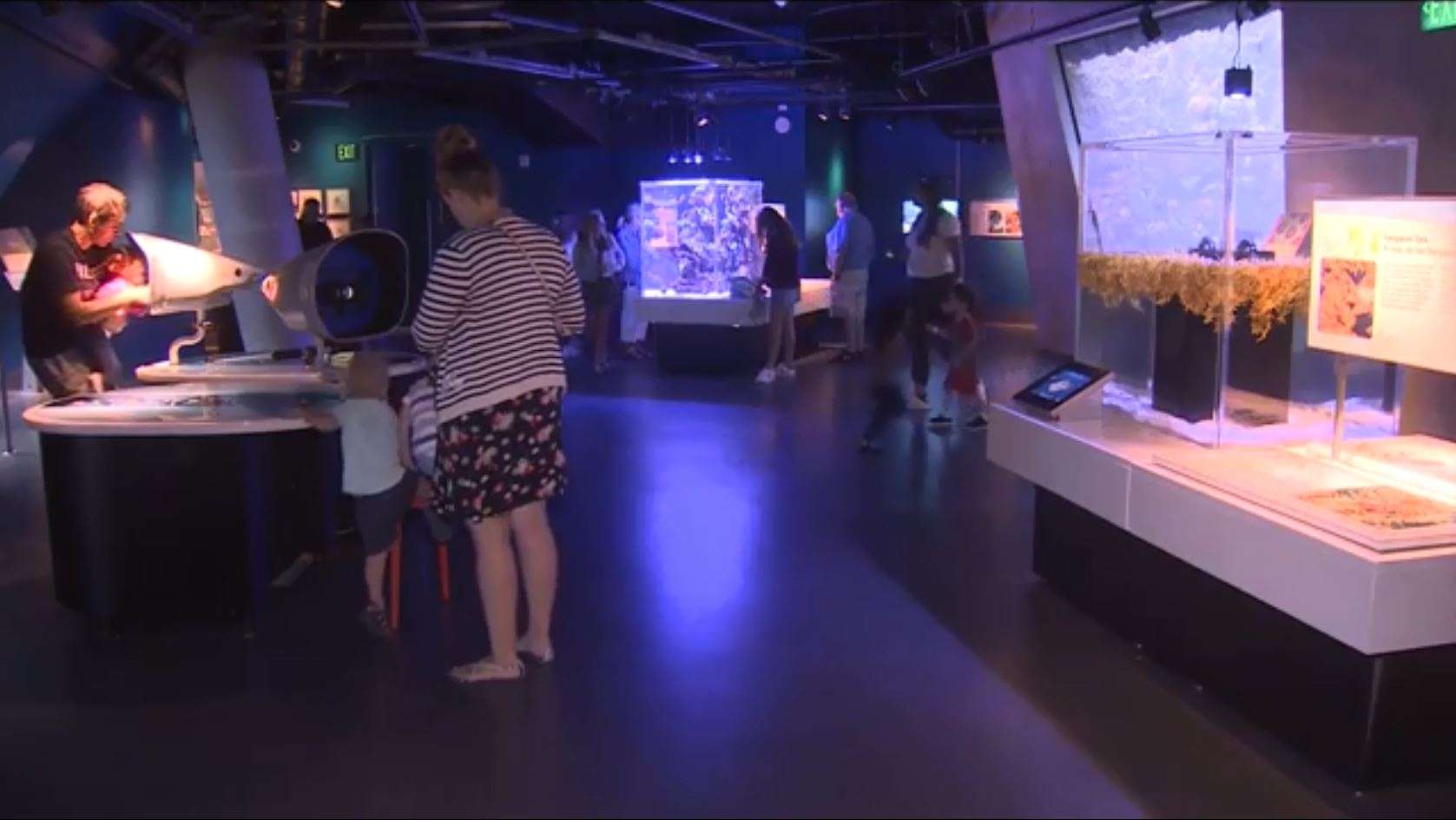 Science museum celebrates 1-year anniversary in Miami - WSVN 7News ...