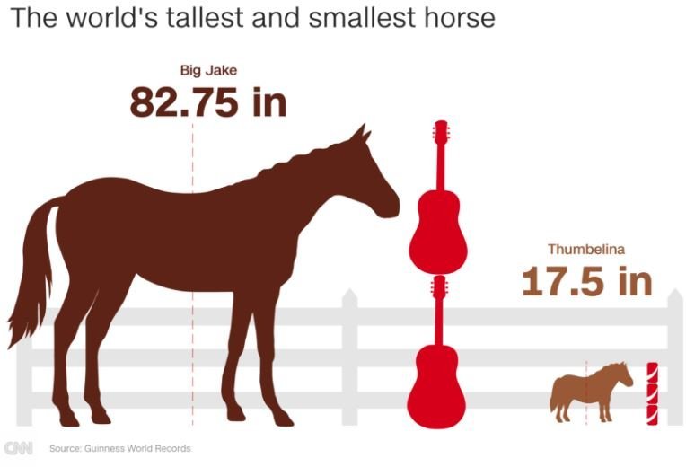 Meet Big Jake and Thumbelina: The tallest and smallest horse in the ...