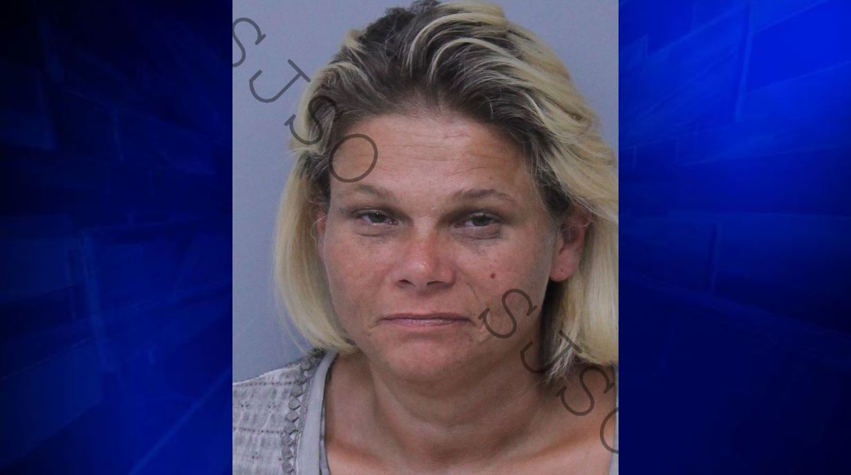 Woman named Crystal Methvin arrested for possession of crystal meth ...