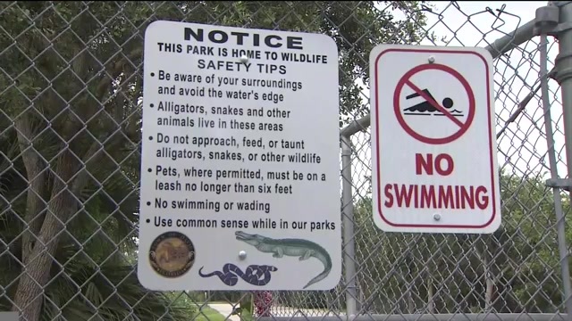 Warning signs installed at all Davie parks after deadly alligator ...