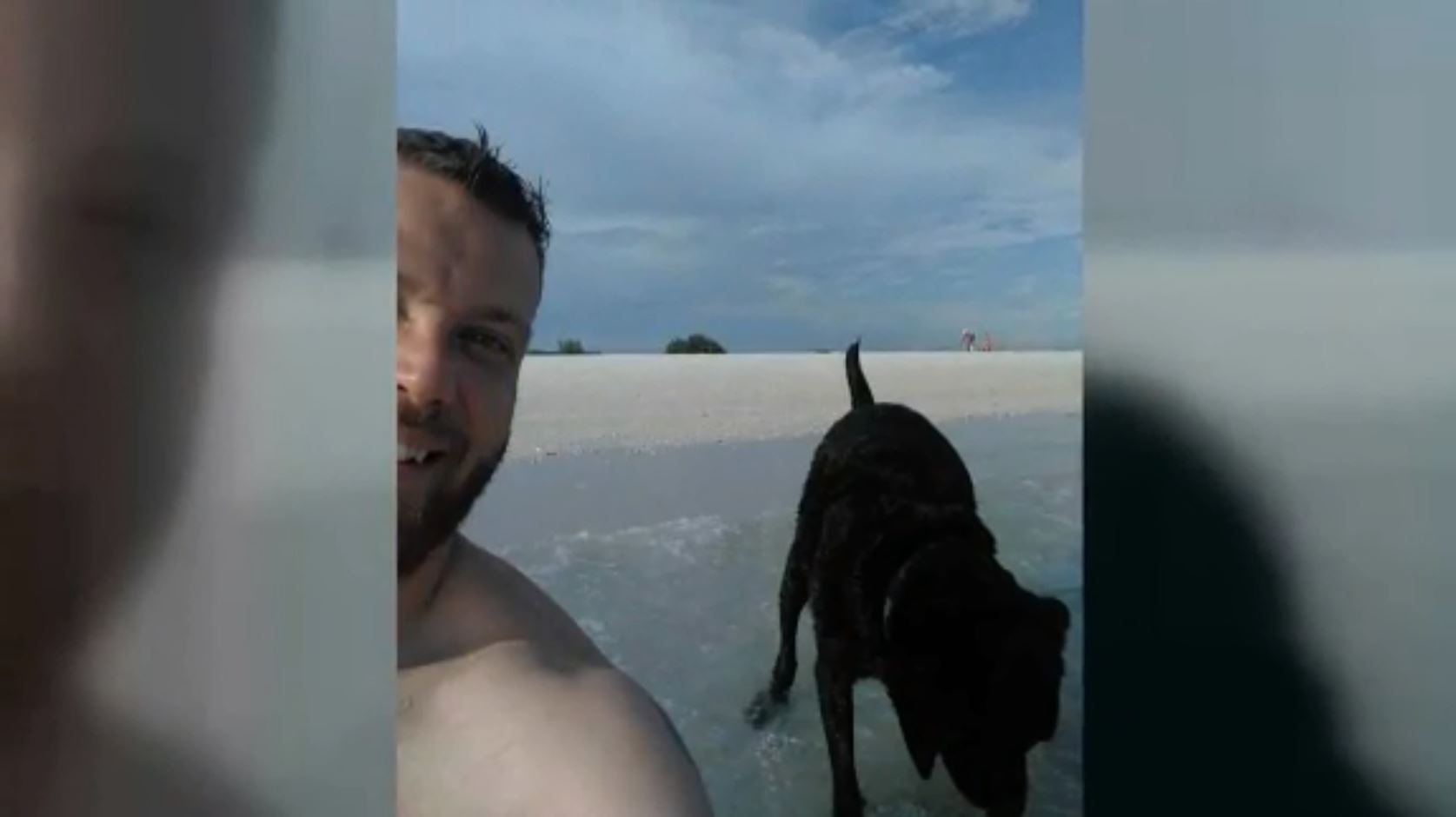Dog dies from saltwater poisoning after swimming at Florida beach ...