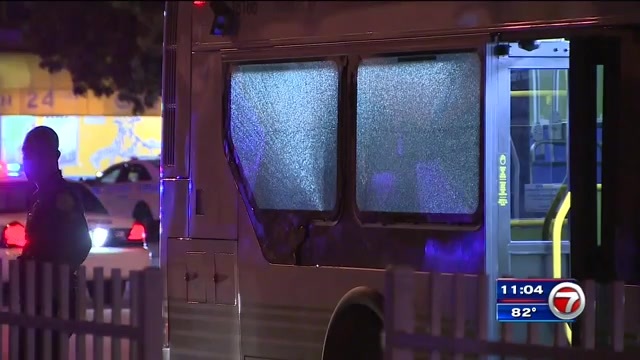 Miami-Dade – Page 1456 – WSVN 7News | Miami News, Weather, Sports ...