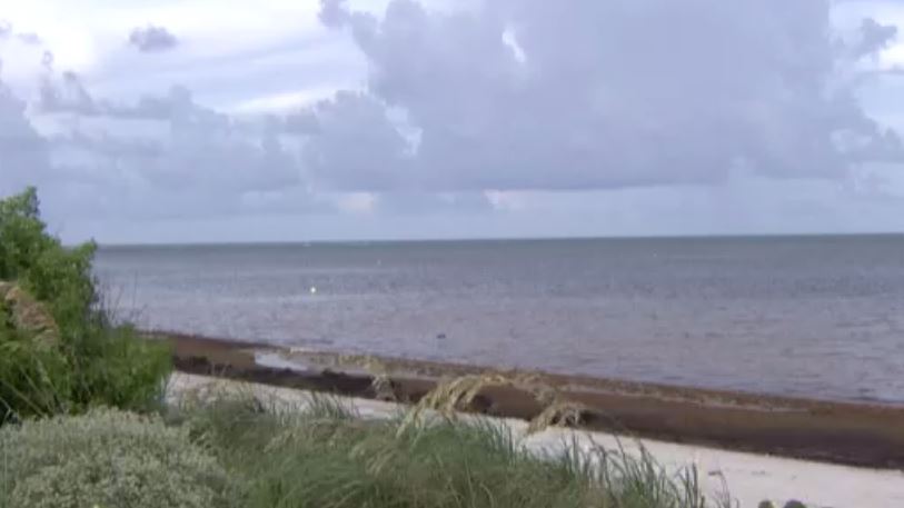 Swim advisory lifted for North Beach at Crandon Park - WSVN 7News ...