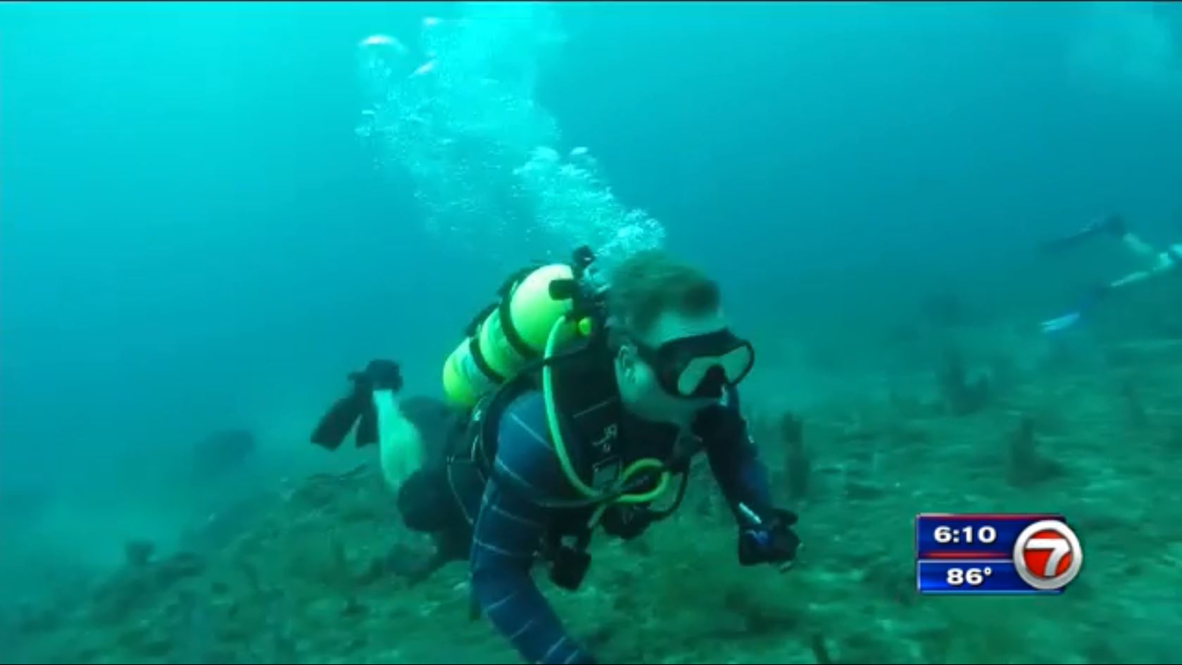 Veterans lobster dive with Operation Outdoor Freedom program - WSVN ...