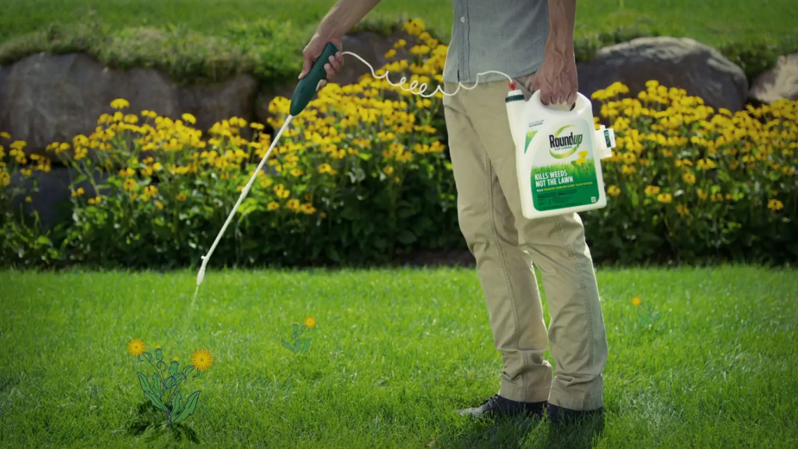 Jury awards $289M to man who claims Roundup weed killer caused cancer ...