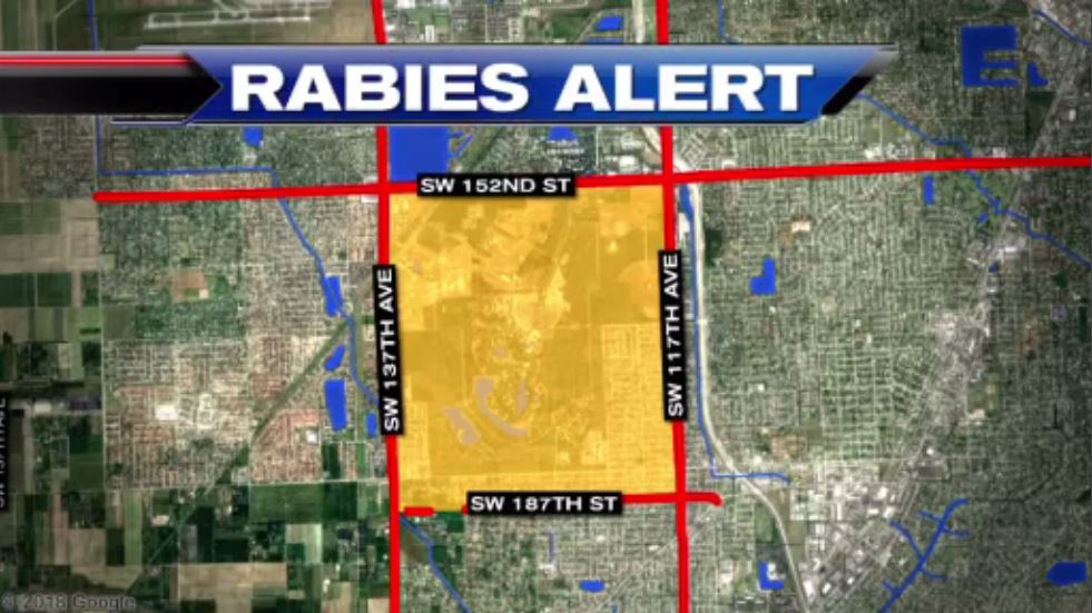 Health officials issue rabies alert in Kendall - WSVN 7News | Miami ...