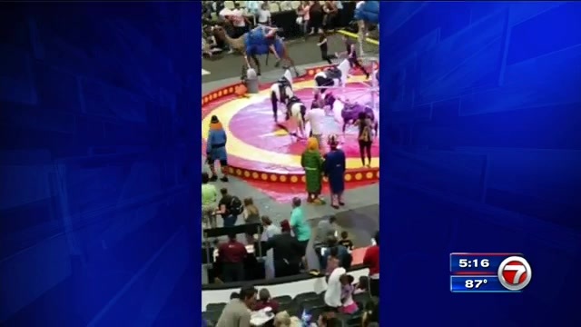 Witness: Circus camel that hurt 7 spooked by thrown shovel - WSVN 7News ...
