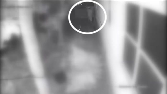 Hollywood father of Peeping Tom victim arrested for allegedly beating ...