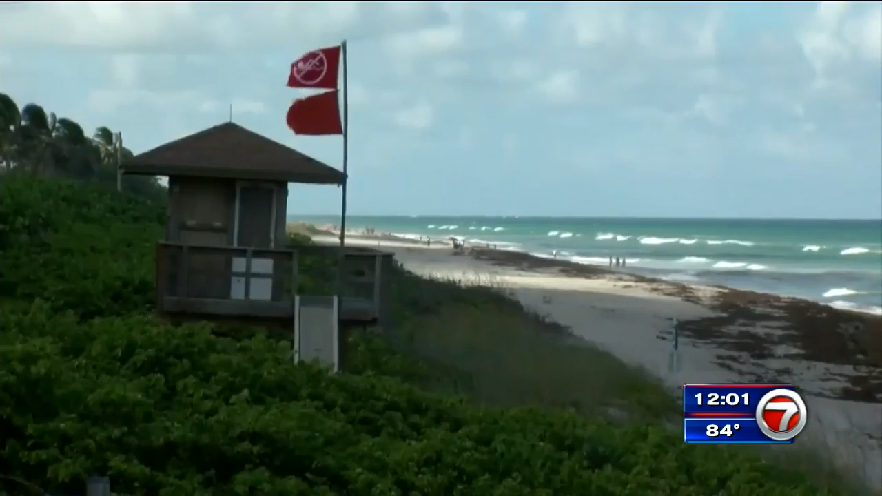 Officials testing Miami-Dade beaches for red tide - WSVN 7News | Miami ...