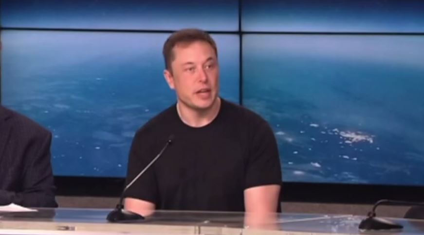 Elon Musk donates $1 million to help plant 20 million trees - WSVN ...