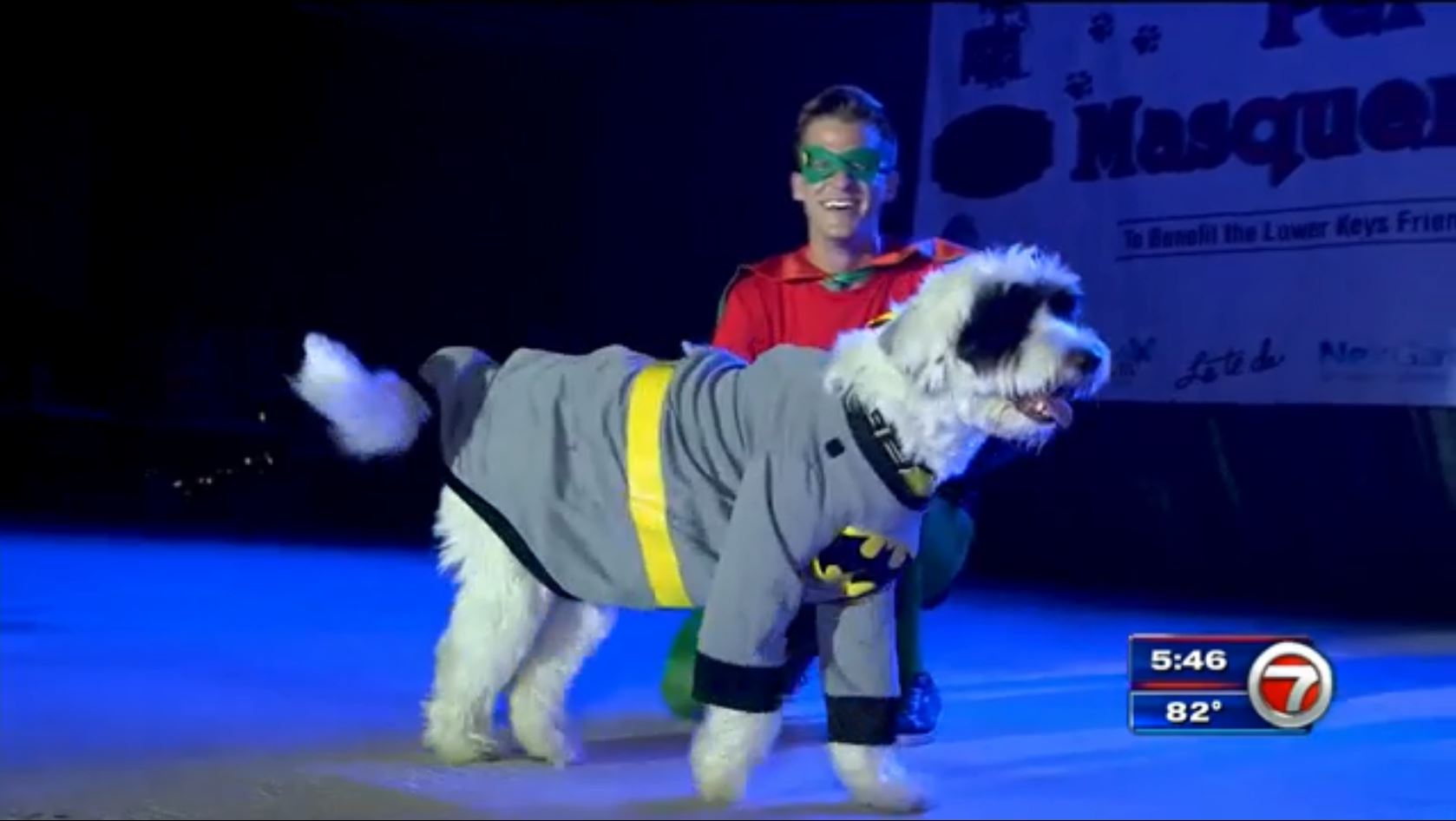 Costumed pets take the stage at Fantasy Fest Pet Masquerade in Key West ...