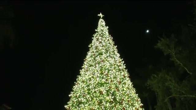 7’s Belkys Nerey attends tree lighting ceremony at Shops of Merrick ...
