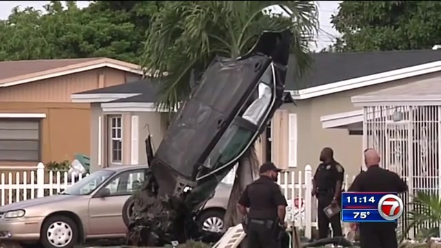 Witnesses Driver Ejected As Car Flies Into Tree In Fatal Miami Gardens