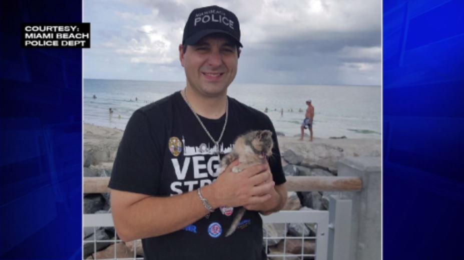 PETA honors Miami Beach Department for saving kitten - WSVN 7News ...