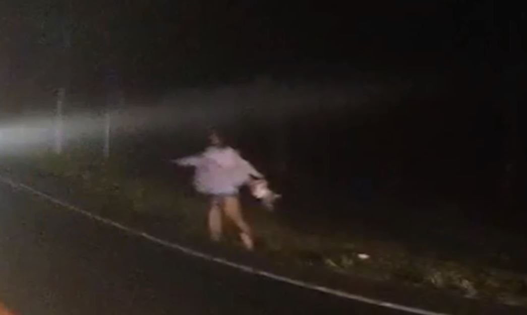 Deputies: Florida woman on meth arrested for running through traffic ...