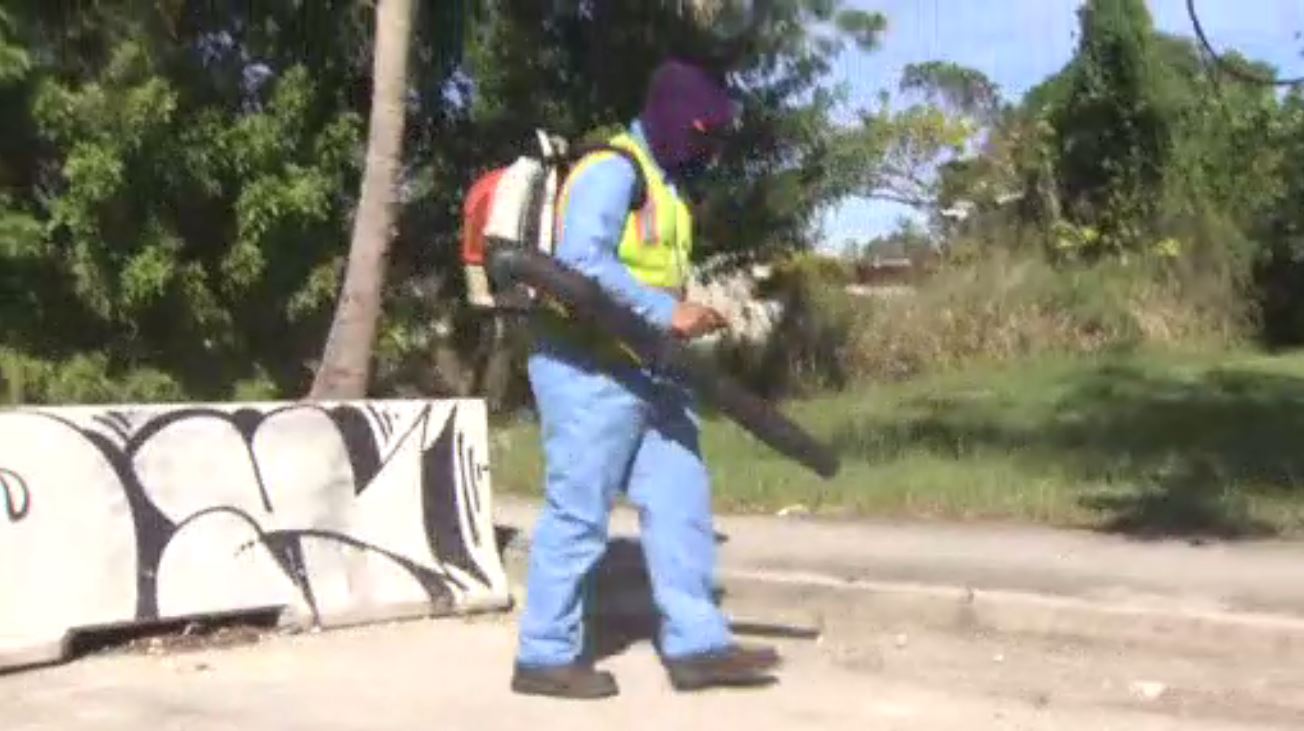 Public works crews help clean up Coconut Grove neighborhoods - WSVN ...