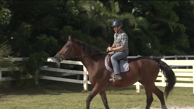 Chris goes horseback riding at Silver Lining Equestrian - WSVN 7News ...