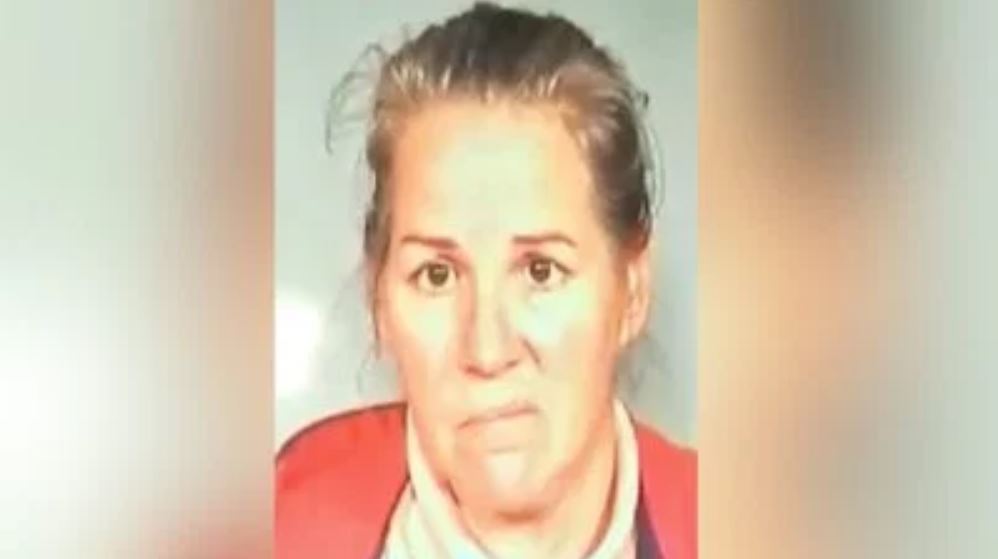 Mother charged in death of kid killed by train in California - WSVN ...