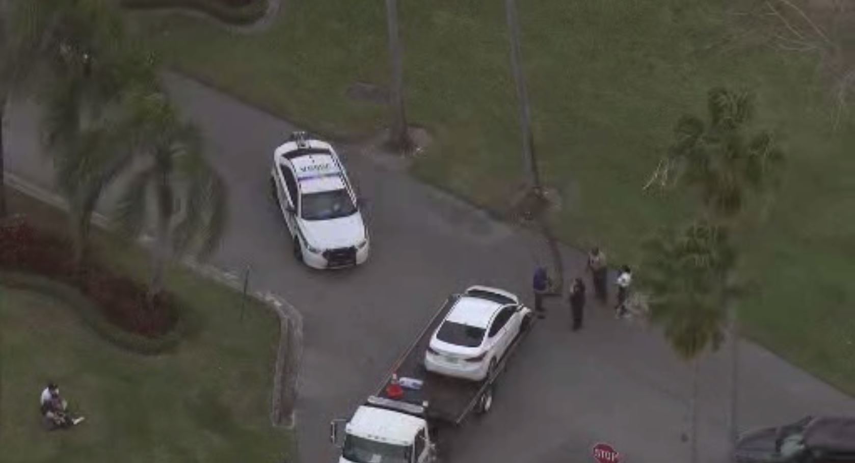 Driver severely injured after car crashes into tree in Northwest Miami ...