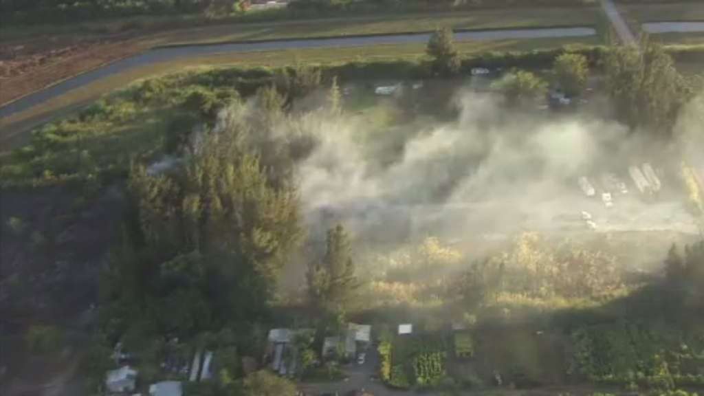 Grass fire sends smoke across parts of SW Miami-Dade – WSVN 7News ...