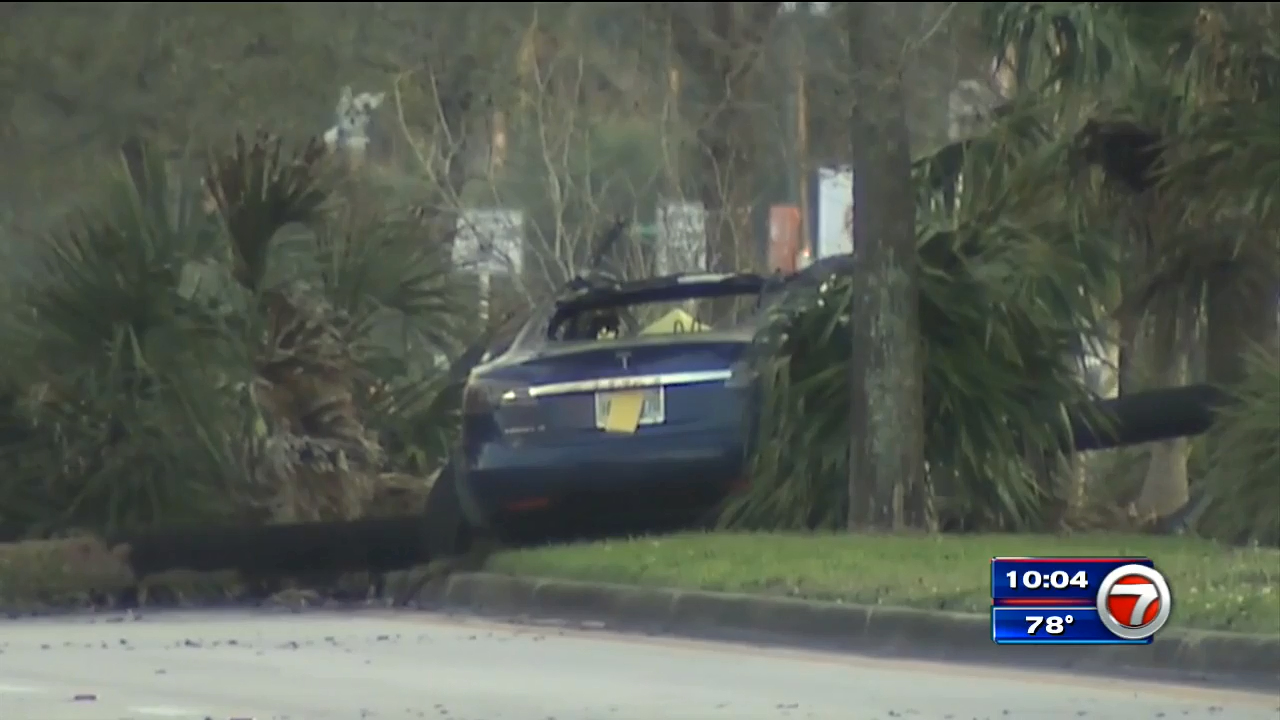 1 dead after Tesla crashes into tree, bursts into flames in Davie ...
